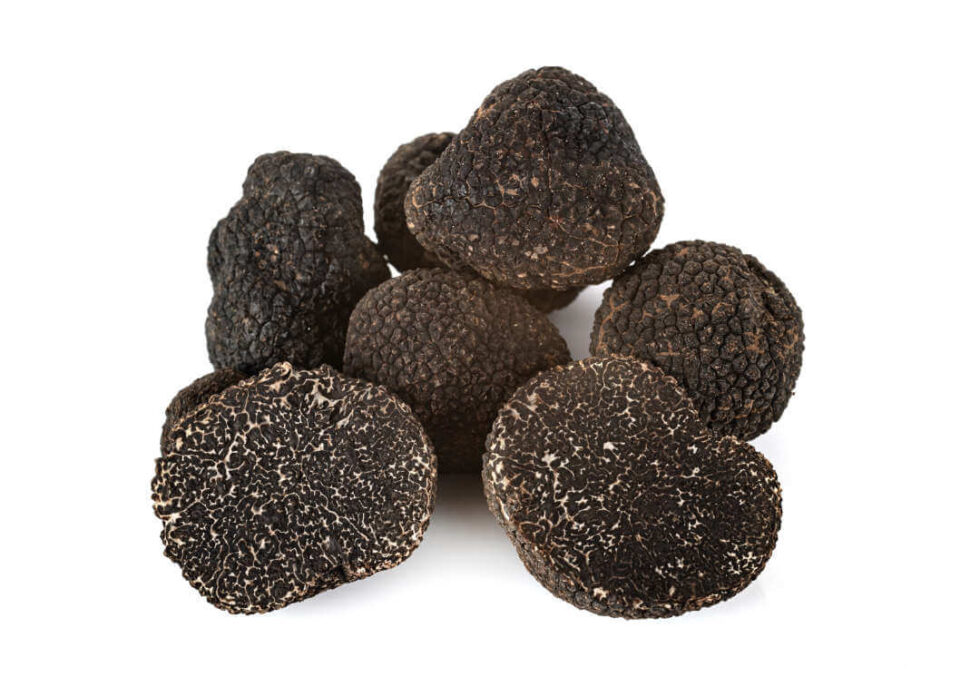 Truffle Hunting & Truffle Tasting in Istria Croatia and Pro Tips ...